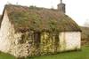 Scottish Thatching - Perthshire based