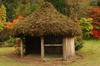 Scottish Thatching - Perthshire based